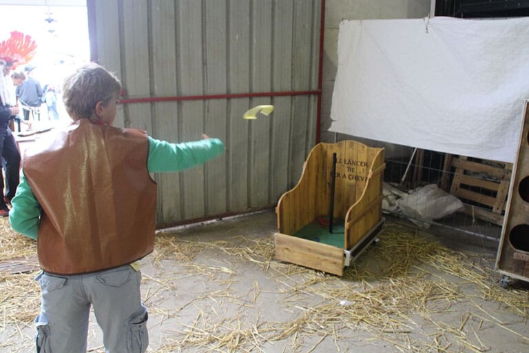 le lancer de fer à cheval - Jeux Fête Foraine - Artemus Evenement
